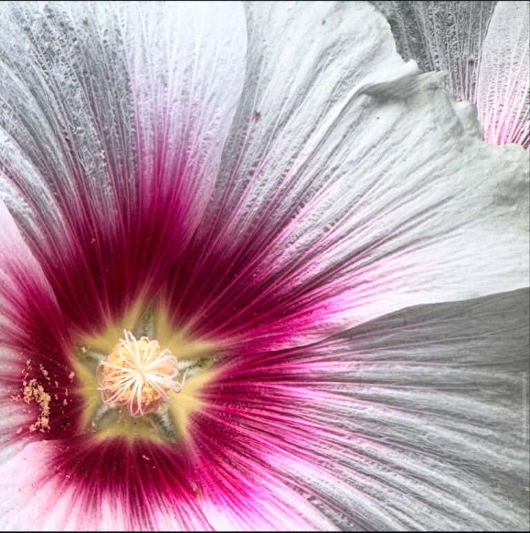 David Moyle Imagery - Award Winning, Published Photographer for 25 ...