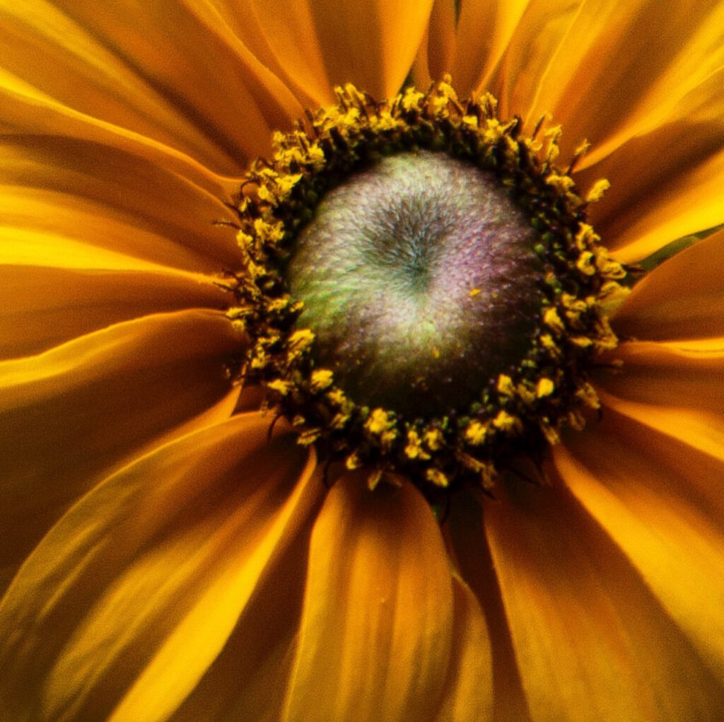 David Moyle Imagery - Award Winning, Published Photographer for 25 ...