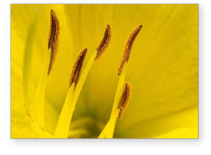 David Moyle Imagery - Award Winning, Published Photographer for 25 ...